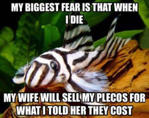 Mudre reči – ciklidi.org